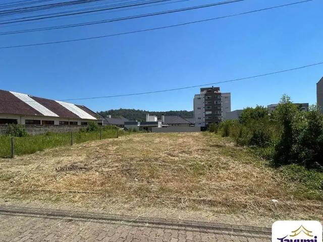 Terreno / Lote para Venda em Santa Cruz do Sul/RS Independência