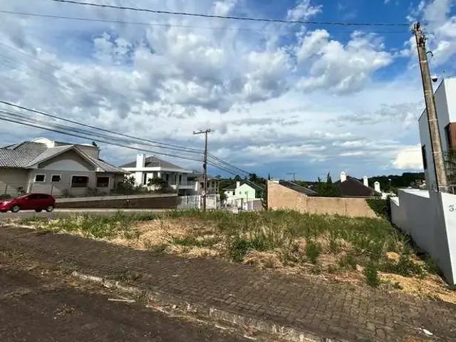 Terreno / Lote para Venda em Santa Cruz do Sul/RS Jardim Europa