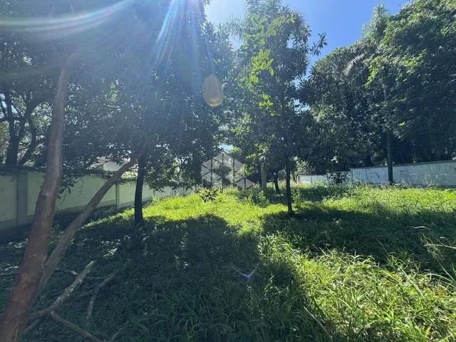 Terreno / Lote para Venda em Santa Cruz do Sul/RS Jardim Europa