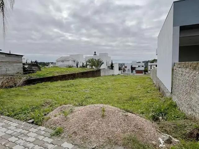 Terreno / Lote para Venda em Santa Cruz do Sul/RS Jardim Europa
