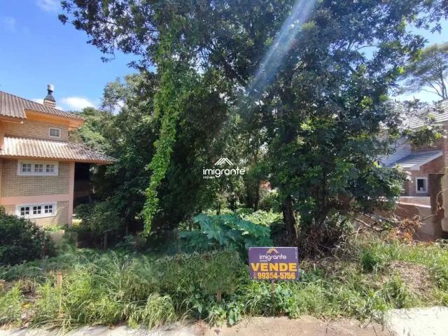 Terreno / Lote para Venda em Santa Cruz do Sul/RS Jardim Europa