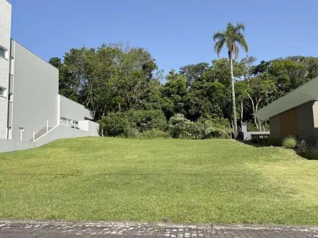 Terreno / Lote para Venda em Santa Cruz do Sul/RS Jardim Europa