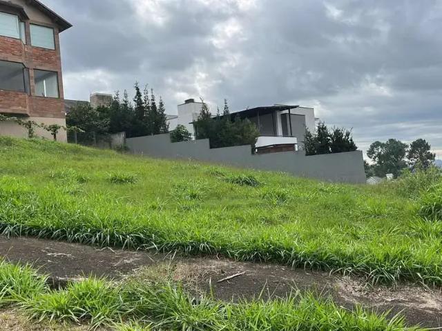 Terreno / Lote para Venda em Santa Cruz do Sul/RS Jardim Europa