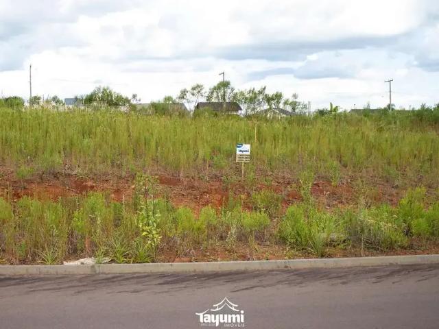 Terreno / Lote para Venda em Santa Cruz do Sul/RS João Alves