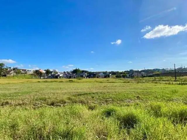Terreno / Lote para Venda em Santa Cruz do Sul/RS João Alves