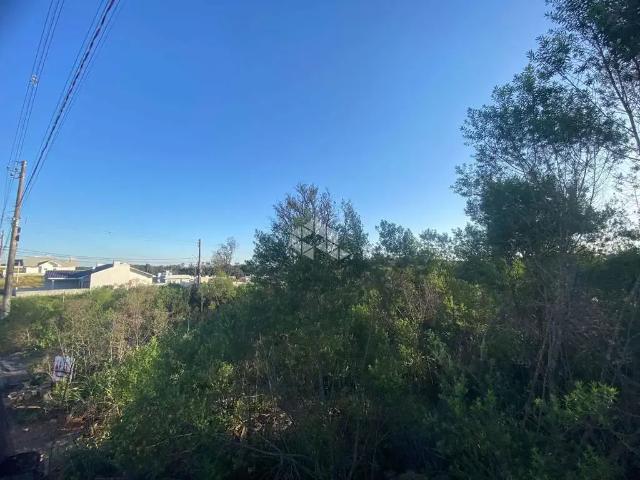 Terreno / Lote para Venda em Santa Cruz do Sul/RS João Alves