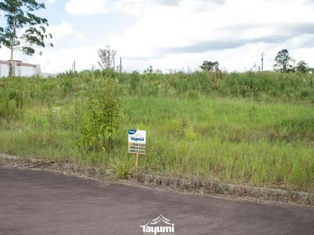 Terreno / Lote para Venda em Santa Cruz do Sul/RS João Alves