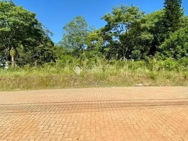 Terreno / Lote para Venda em Santa Cruz do Sul/RS João Alves