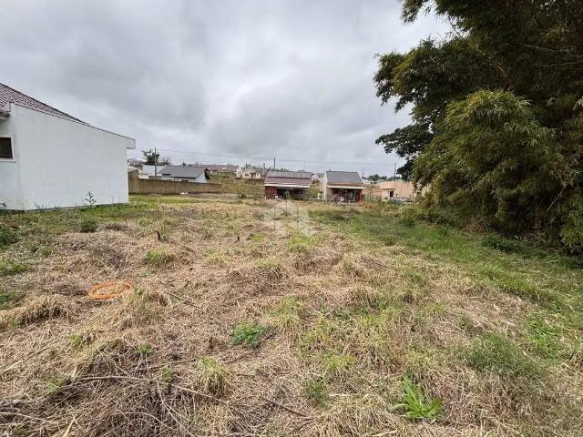 Terreno / Lote para Venda em Santa Cruz do Sul/RS João Alves