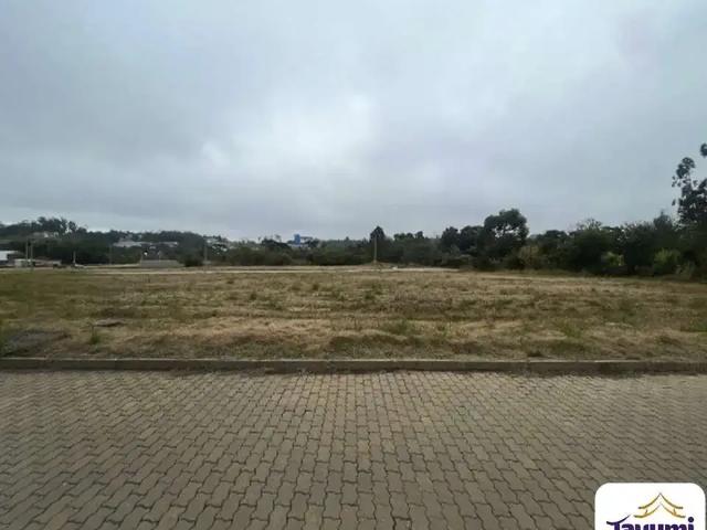 Terreno / Lote para Venda em Santa Cruz do Sul/RS João Alves