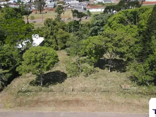 Terreno / Lote para Venda em Santa Cruz do Sul/RS João Alves