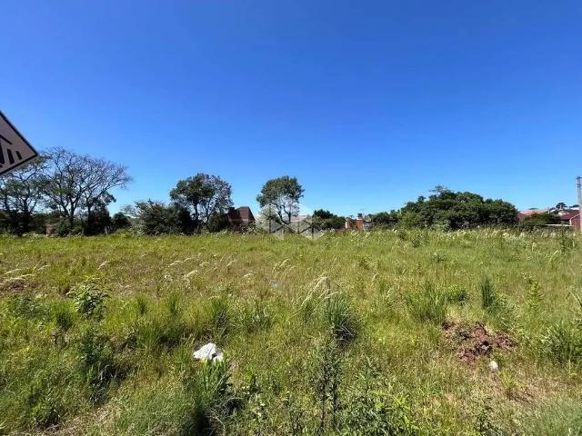 Terreno / Lote para Venda em Santa Cruz do Sul/RS Linha Santa Cruz