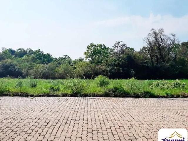 Terreno / Lote para Venda em Santa Cruz do Sul/RS Linha Santa Cruz
