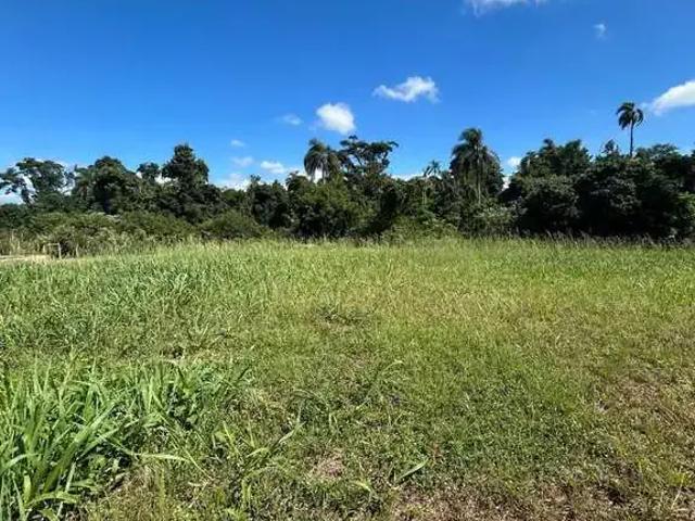 Terreno / Lote para Venda em Santa Cruz do Sul/RS Linha Santa Cruz