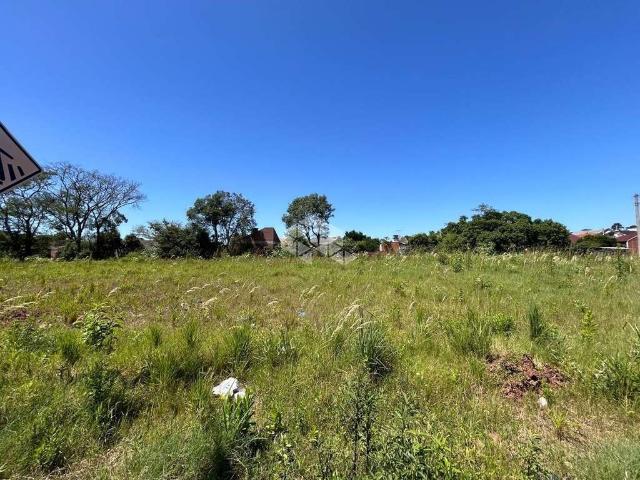 Terreno / Lote para Venda em Santa Cruz do Sul/RS Linha Santa Cruz