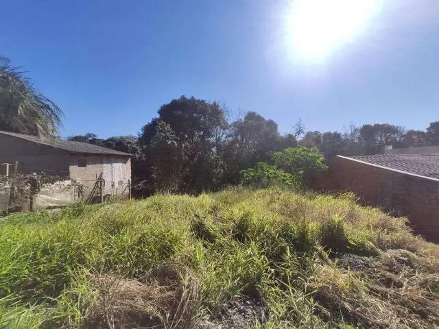 Terreno / Lote para Venda em Santa Cruz do Sul/RS Linha Santa Cruz