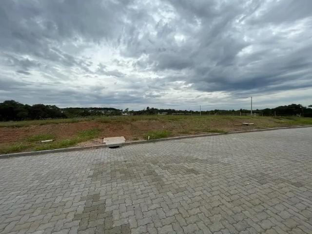 Terreno / Lote para Venda em Santa Cruz do Sul/RS Linha Santa Cruz