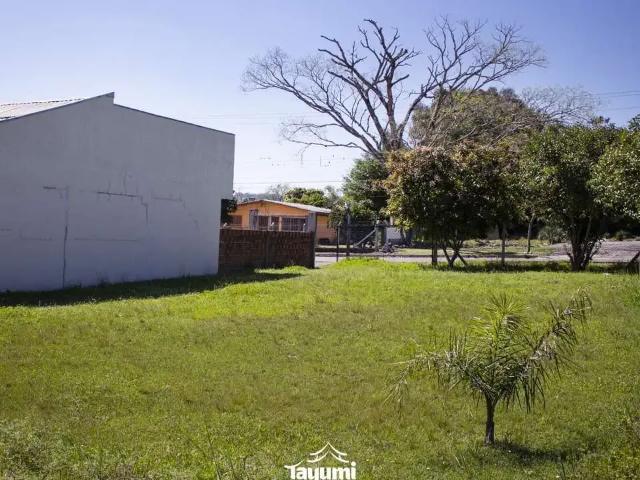 Terreno / Lote para Venda em Santa Cruz do Sul/RS Progresso