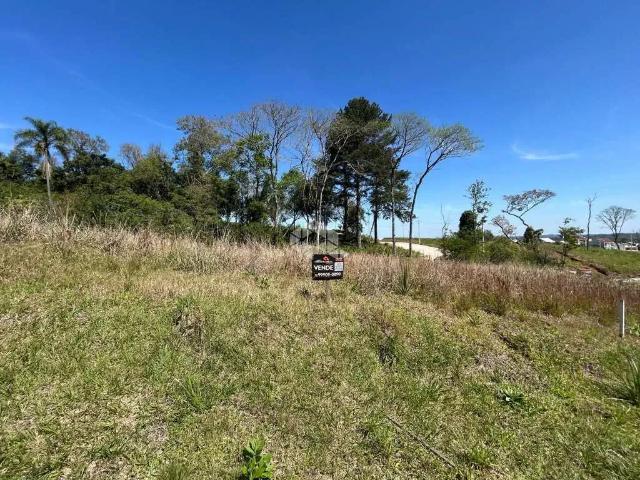 Terreno / Lote para Venda em Santa Cruz do Sul/RS Renascença