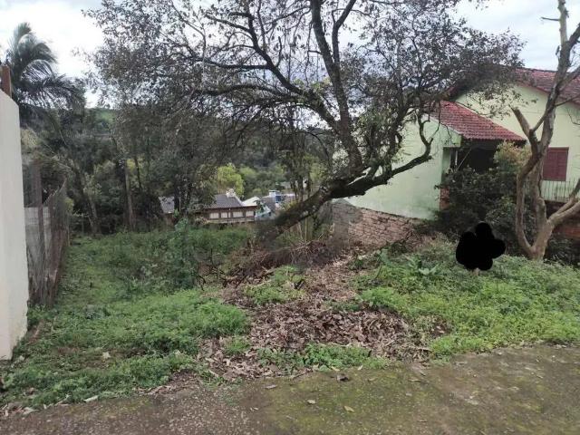 Terreno / Lote para Venda em Santa Cruz do Sul/RS Renascença