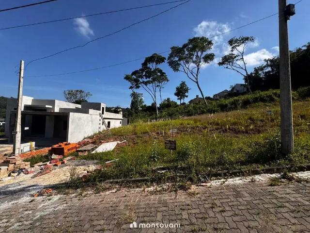 Terreno / Lote para Venda em Santa Cruz do Sul/RS Renascença