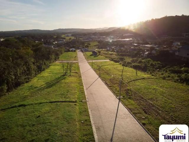 Terreno / Lote para Venda em Santa Cruz do Sul/RS Renascença