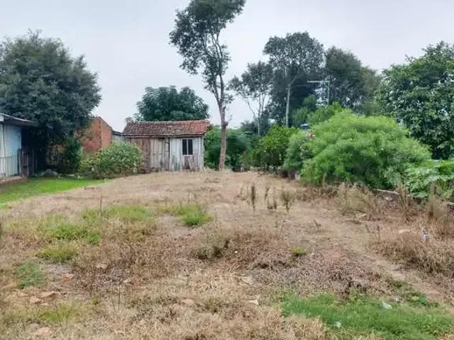 Terreno / Lote para Venda em Santa Cruz do Sul/RS Santuário