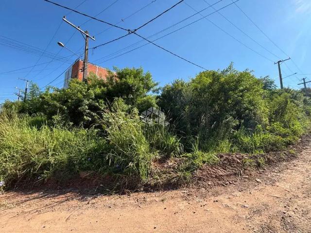 Terreno / Lote para Venda em Santa Cruz do Sul/RS Santuário
