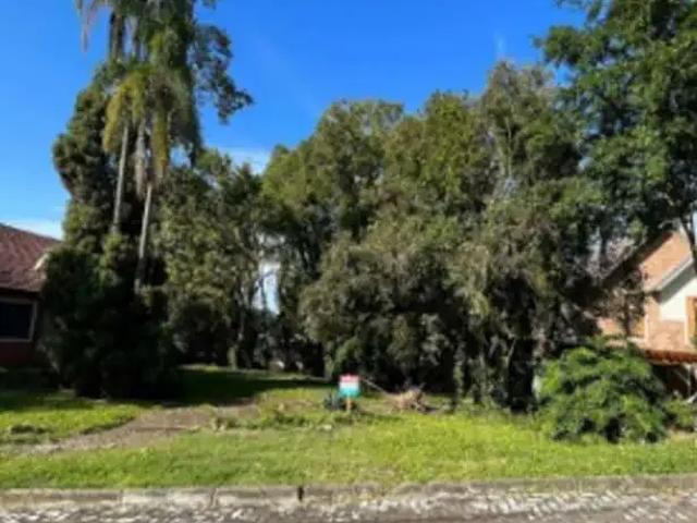 Terreno / Lote para Venda em Santa Cruz do Sul/RS Santo Inácio