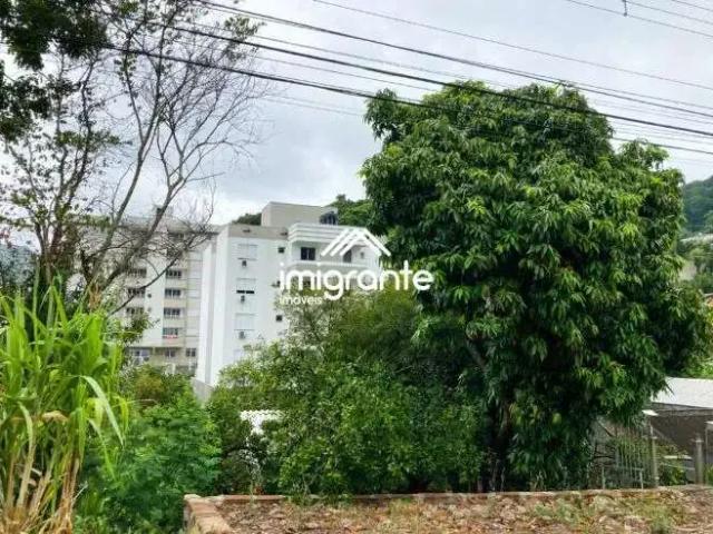 Terreno / Lote para Venda em Santa Cruz do Sul/RS Santo Inácio