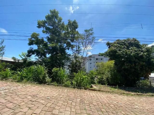 Terreno / Lote para Venda em Santa Cruz do Sul/RS Santo Inácio