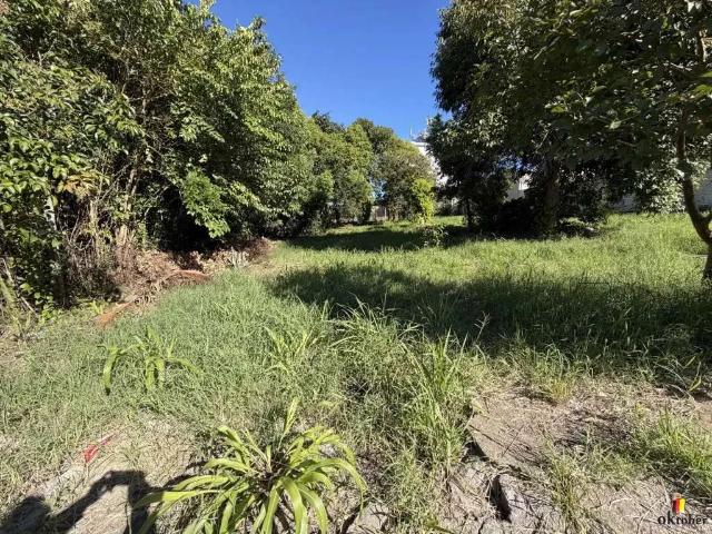 Terreno / Lote para Venda em Santa Cruz do Sul/RS Universitário