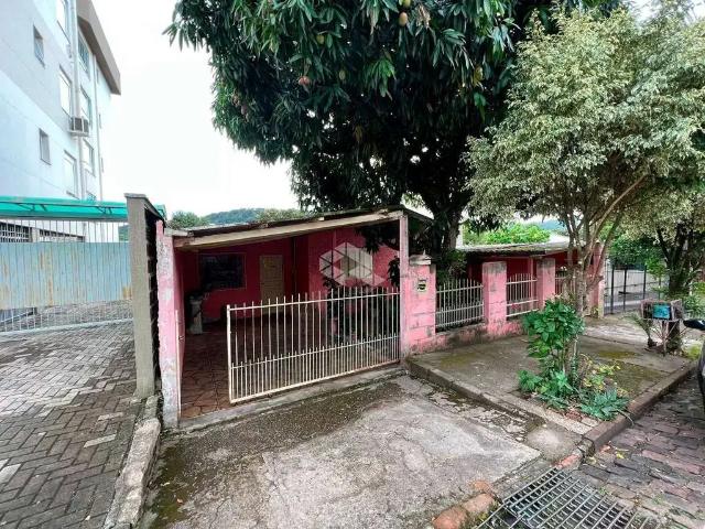 Terreno / Lote para Venda em Santa Cruz do Sul/RS Universitário