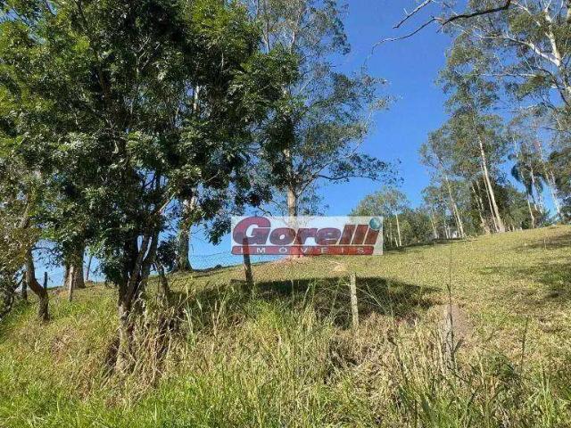 Terreno / Lote para Venda em Santa Isabel/SP Cachoeira