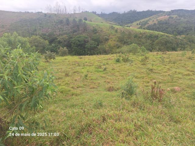 Terreno / Lote para Venda em Santa Isabel/SP Centro