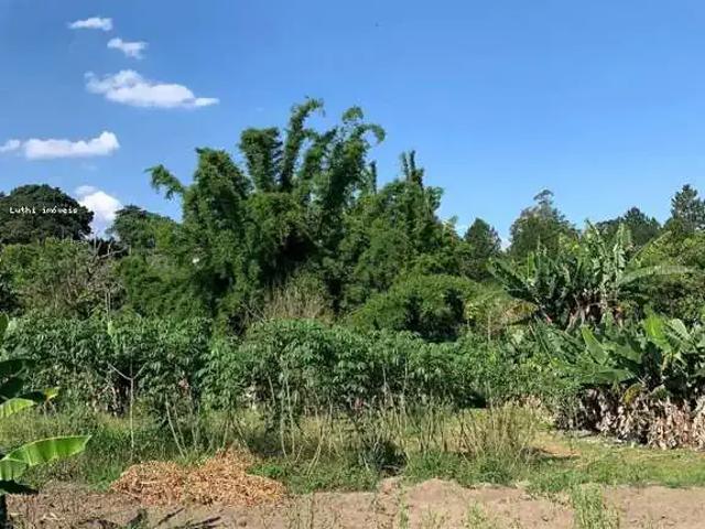 Terreno / Lote para Venda em Santa Isabel/SP Centro