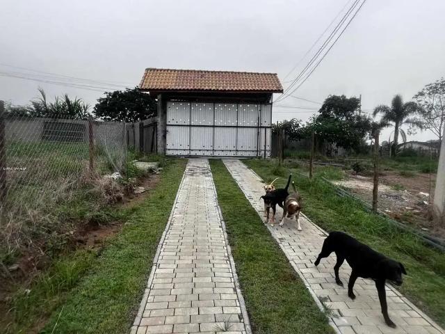 Terreno / Lote para Venda em Santa Isabel/SP Centro
