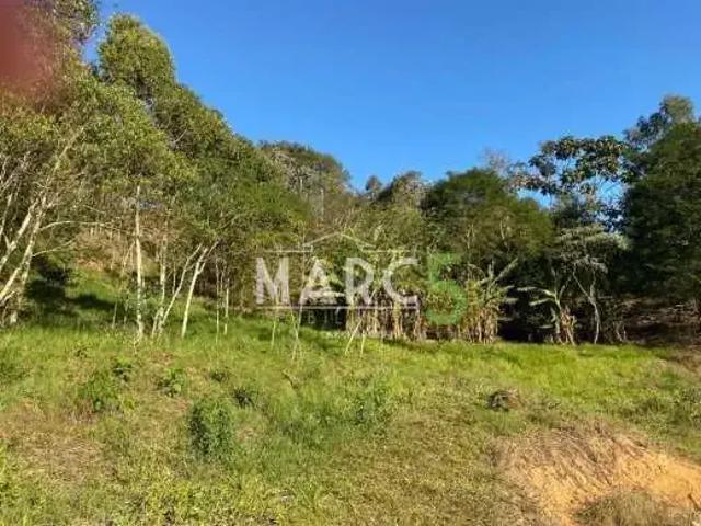 Terreno / Lote para Venda em Santa Isabel/SP Chácaras Eldorado