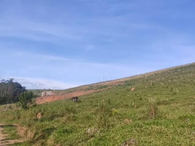 Terreno / Lote para Venda em Santa Isabel/SP Chácaras Eldorado