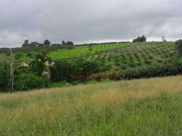 Terreno / Lote para Venda em Santa Isabel/SP Ouro Fino