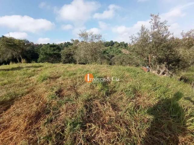 Terreno / Lote para Venda em Santa Isabel/SP Parque Santa Teresa