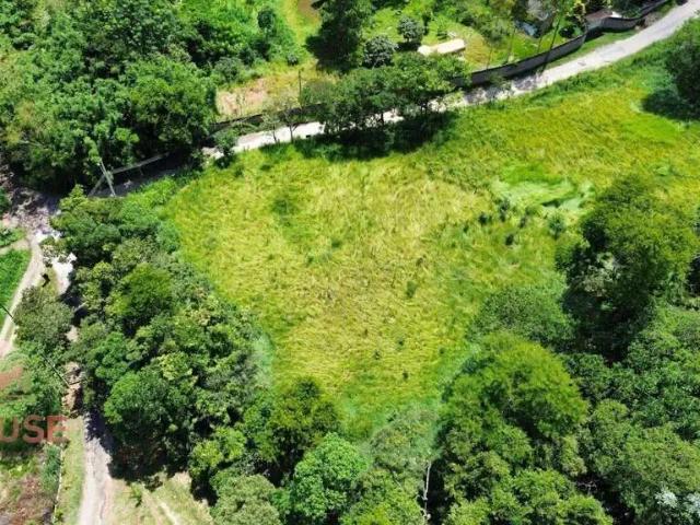Terreno / Lote para Venda em Santa Isabel/SP Parque Santa Teresa
