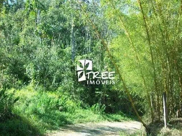 Terreno / Lote para Venda em Santa Isabel/SP Recanto Bonanza