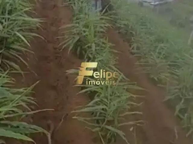 Terreno / Lote para Venda em Santa Leopoldina/ES Centro