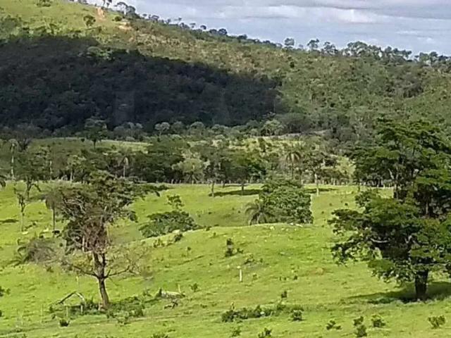Terreno / Lote para Venda em Santa Luzia/MG Frimisa