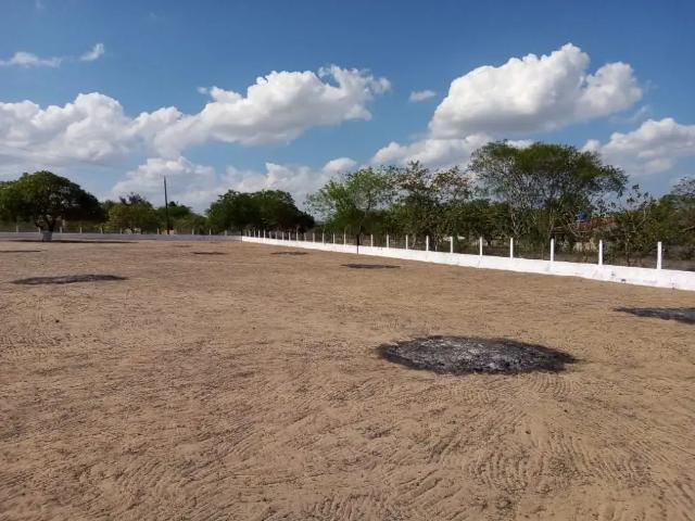 Terreno / Lote para Venda em Santa Maria do Cambucá/PE Centro