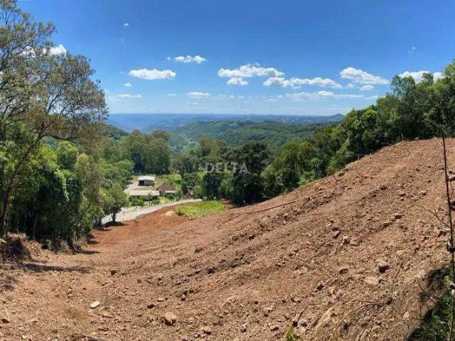 Terreno / Lote para Venda em Santa Maria do Herval/RS Boa Vista do Herval