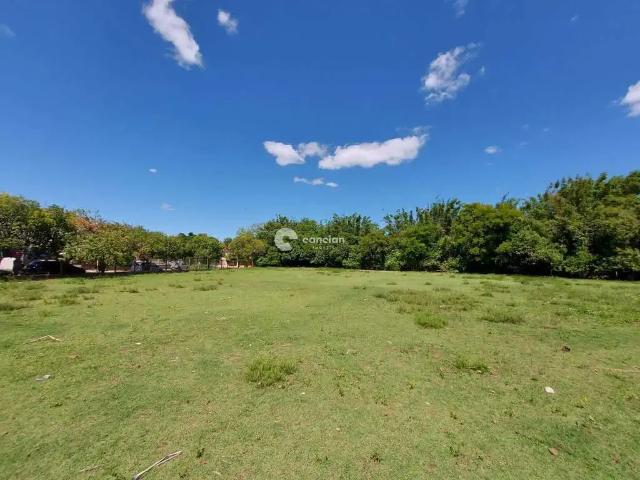 Terreno / Lote para Venda em Santa Maria/RS Noal