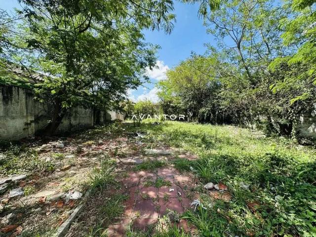 Terreno / Lote para Venda em Santa Maria/RS Noal