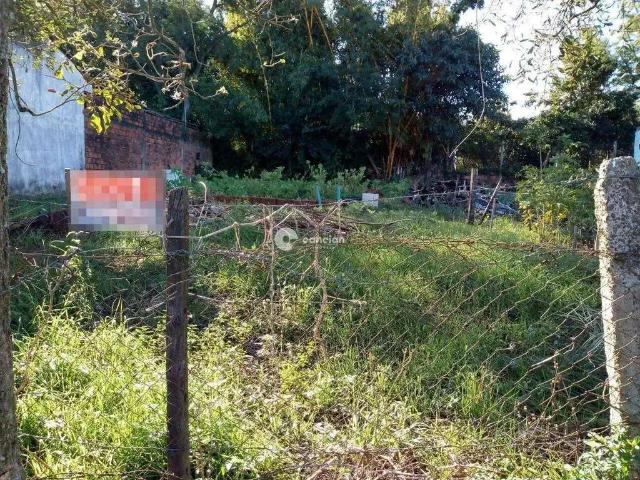 Terreno / Lote para Venda em Santa Maria/RS Noal